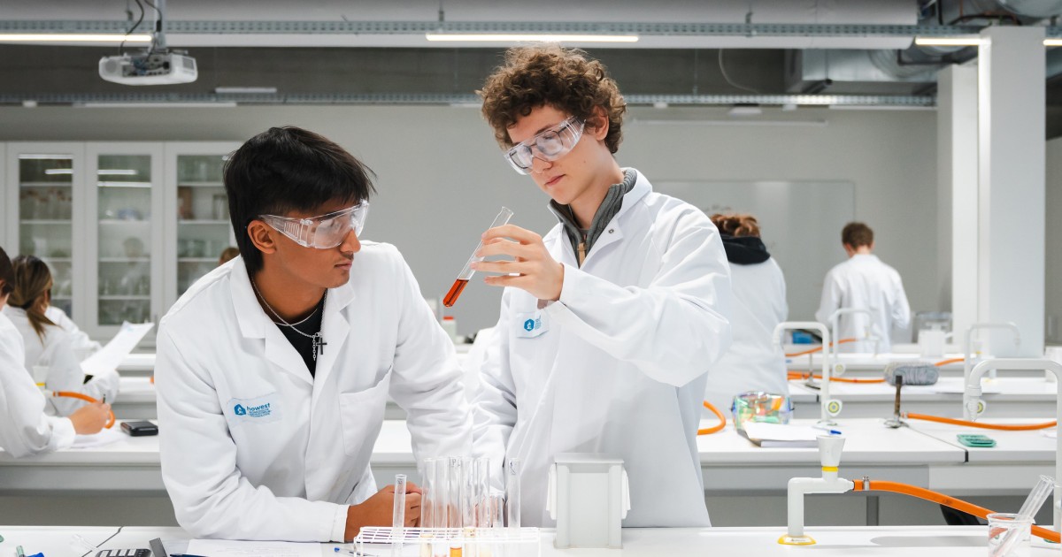 Test het zelf: meet gluten en gliadines met de ELISA-techniek
